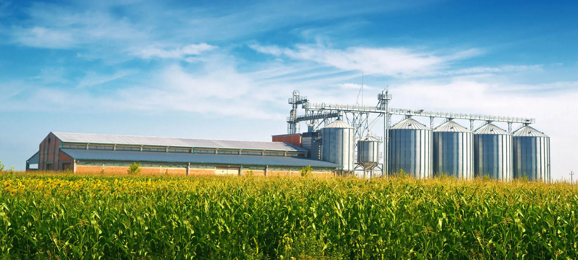 About KPM Analytics | We Craft Assurance